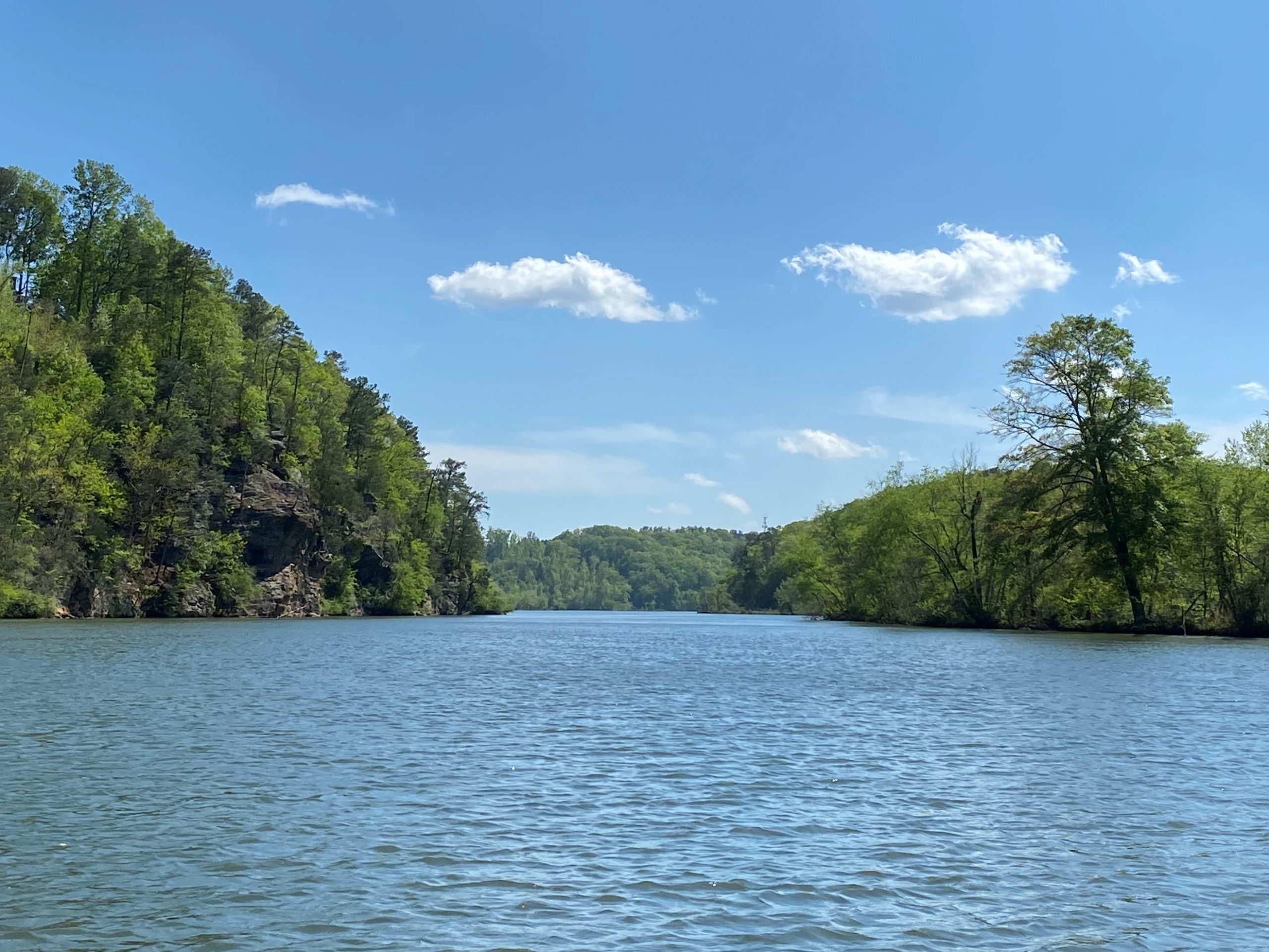 Ease Your Mind with 8 Great Outdoor Activities near Atlanta | Fellow ...